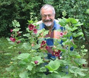 le tryptique christique de John Salter - Almanart